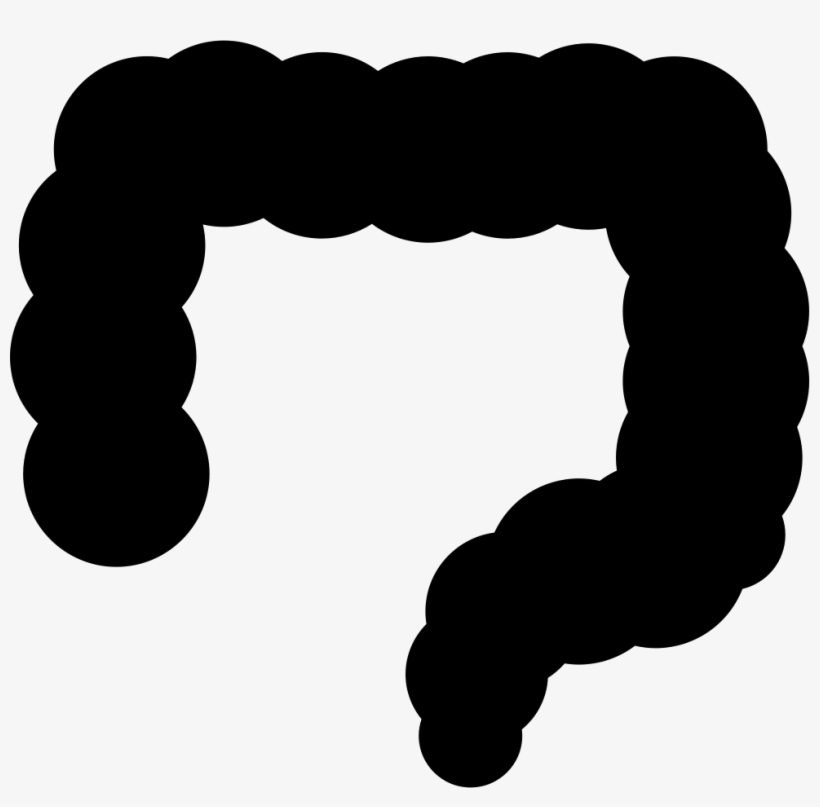 Png File Svg - Intestines Icon PNG Image | Transparent PNG Free ...