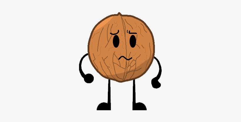 Download Walnut - Bfdi Nut | Transparent PNG Download | SeekPNG