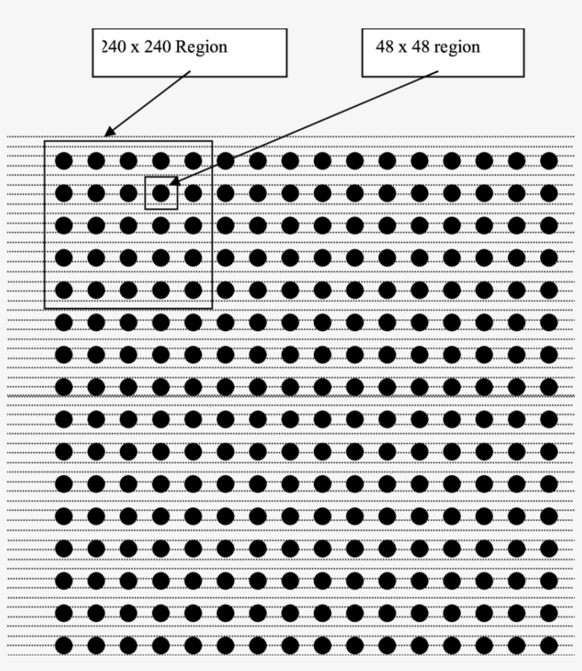 Shown Is A Schematic Of The Dot Targets And The Scan - Hidden Message ...