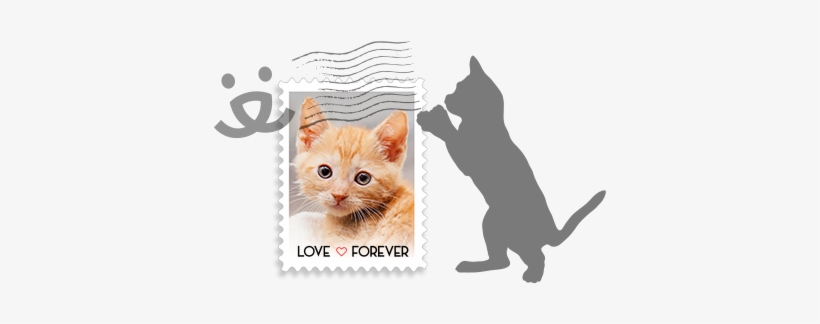 Send A Friend A Kitten - Cat PNG Image | Transparent PNG Free Download ...