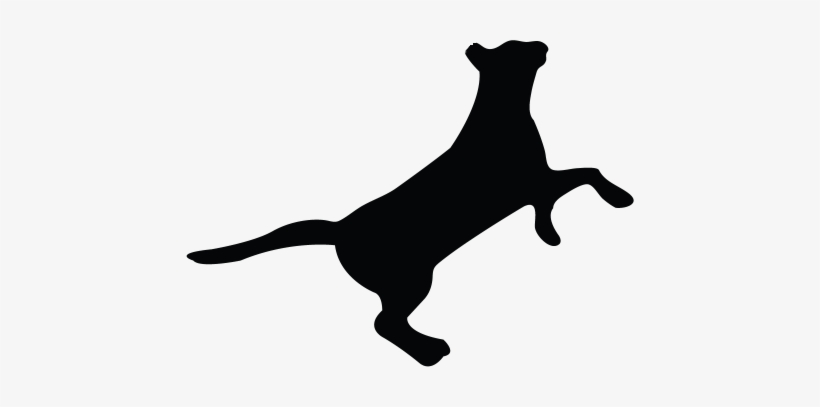 Trap–neuter–return PNG Image | Transparent PNG Free Download on SeekPNG