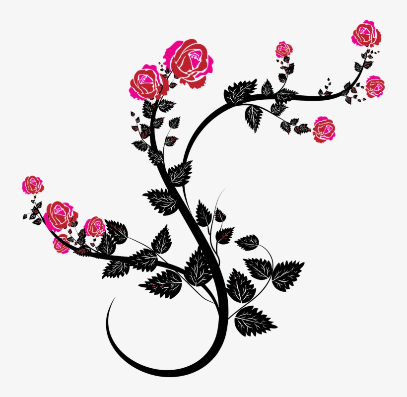 Free Image On Pixabay - Rose Vine Transparent Clipart PNG Image ...
