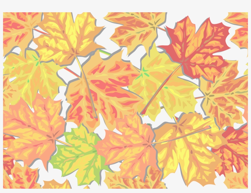 Autumn Leaves - Cartoon Fall Leaves Background PNG Image | Transparent ...