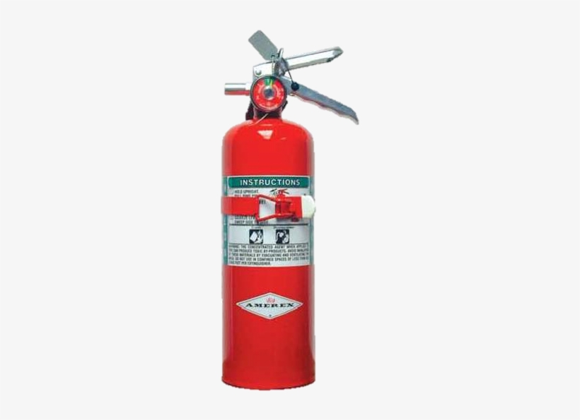 Fire Suppression Systems - Amerex #b369 Halon 1211 Fire Extinguisher ...