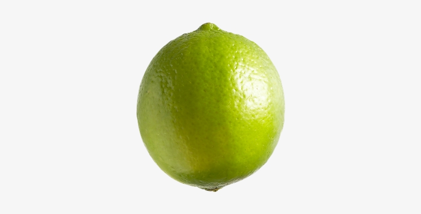 Image - Lime PNG Image | Transparent PNG Free Download on SeekPNG