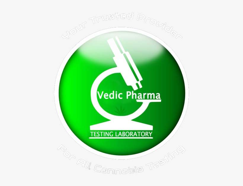 Untitled-2lg - Circle PNG Image | Transparent PNG Free Download on SeekPNG