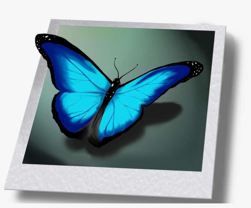 Life Is Strange Png - Butterfly From Life Is Strange PNG Image ...