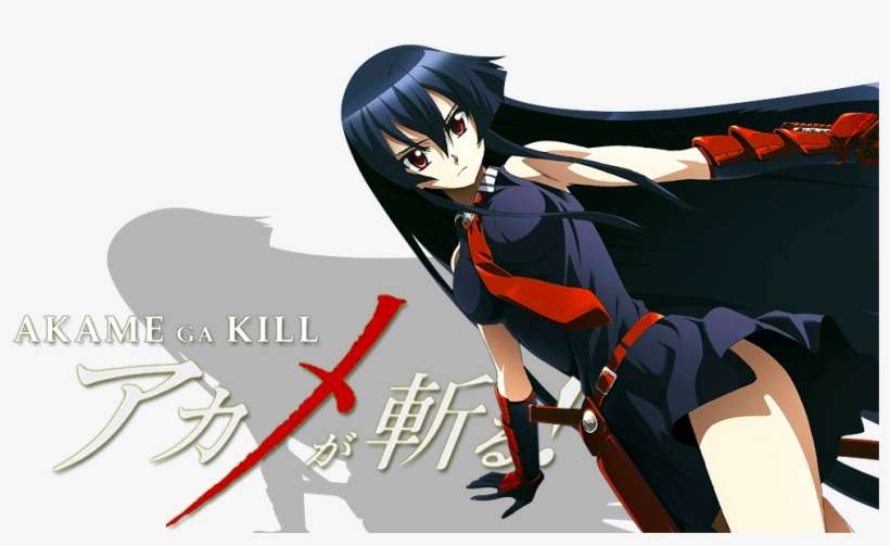 Akame Ga Kill - Akame Ga Kill Akame Fanart PNG Image | Transparent PNG ...