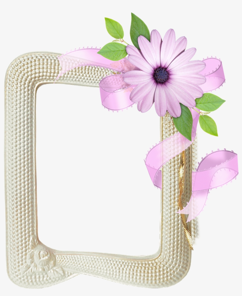 10 Png Cluster Frames - Frame PNG Image | Transparent PNG Free Download ...