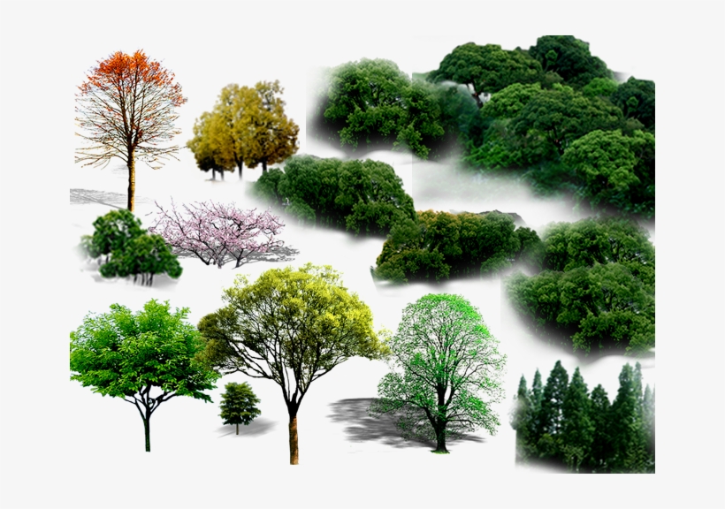 Tree Png File Hd - Trees Landscape Psd PNG Image | Transparent PNG Free ...