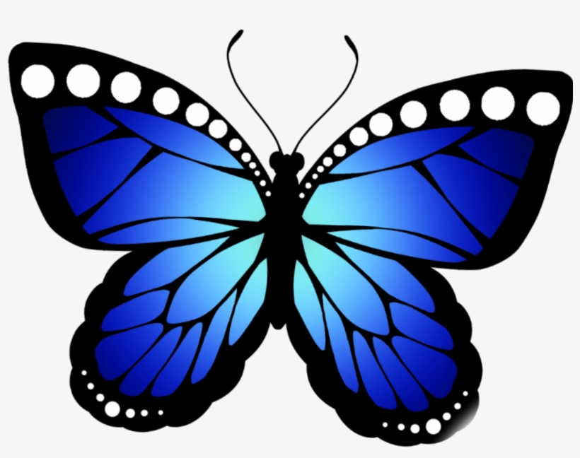 Download Butterfly Sticker Butterfly Bluebutte Png Picsart Clipart 