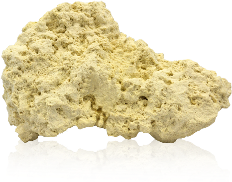 Download Concepts Deep Blue Professional - Coral Reef Rock Png ...