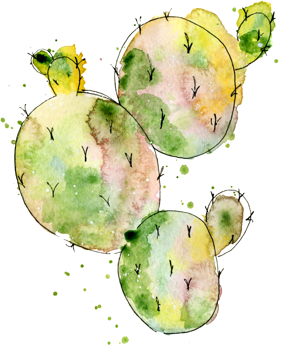 75r58pictnv 1024 X Oss Process=image/quality,q 70/watermark - Cactus ...