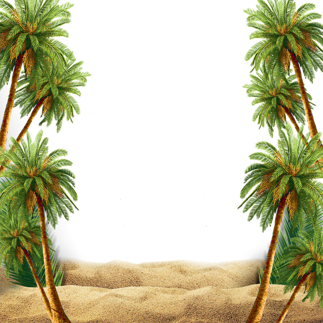Download Summer Beach Scene With Palm Tree, Summer, Beach, Palm - All ...