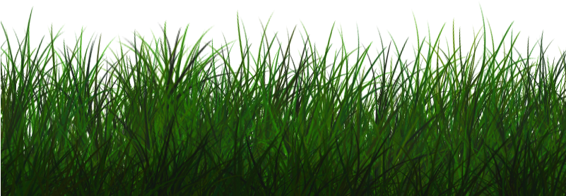 Download Free Transparent Seamless Nature - Seamless Grass Png ...
