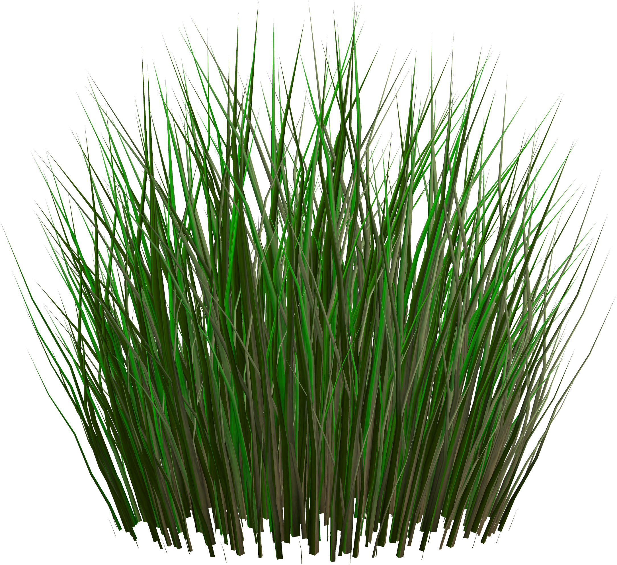 Tall Grass Texture Minecraft