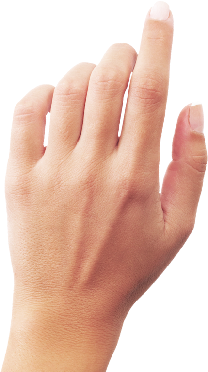 Hand Png (500x764), Png Download