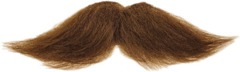Download People - Mustaches - Real Moustache Transparent Background ...