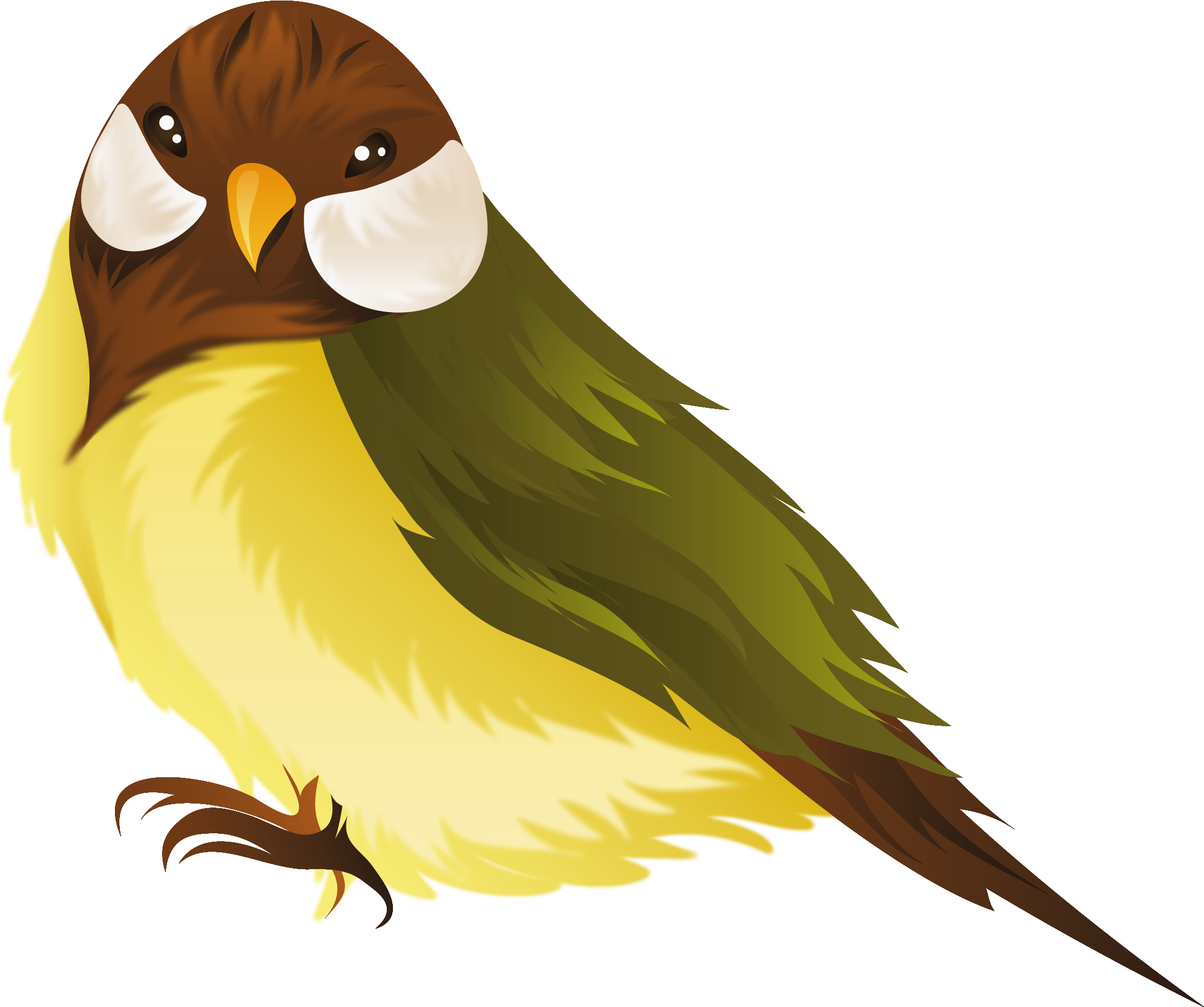 Bird Clipart Transparent Png (2252x1931), Png Download