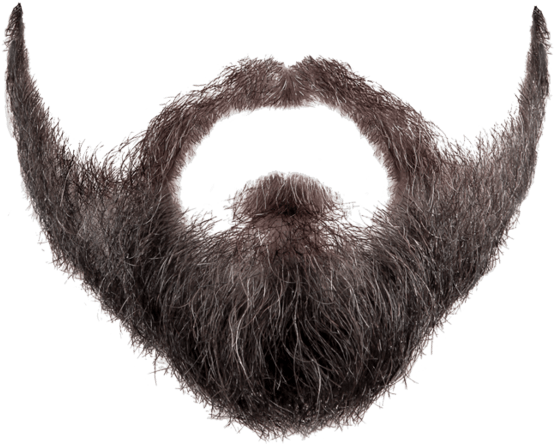 Transparent Pictures Free Icons - Beard Transparent Background (400x335 ...