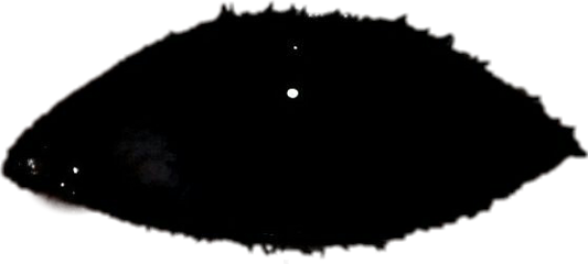 Black Demon Eyes Png Graphic Library - Black Demon Eyes Png (533x240 ...