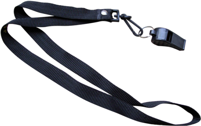 Download Lanyard | Transparent PNG Download | SeekPNG