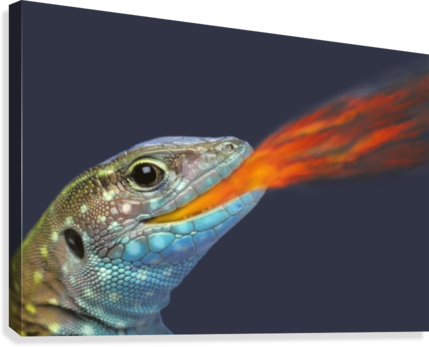 Fire-breathing Rainbow Lizard - Posterazzi Fire-breathing Rainbow ...