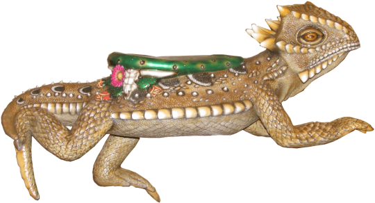 Free Png Lizard Png Images Transparent - Horned Lizard (850x638), Png ...