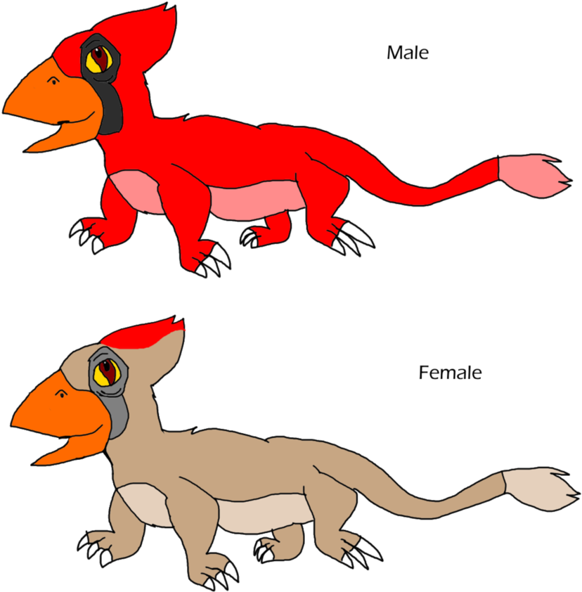Cardinal Lizards By Kallytoonsstudios On Deviantart - Lizard (888x899 ...