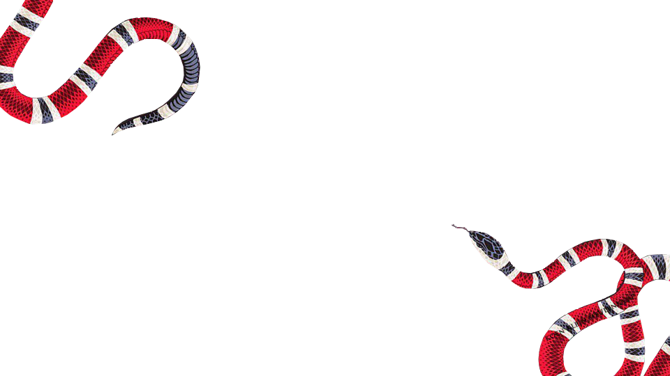 Sticker By Gabdraxmanova Report - Gucci Snake Png (960x540), Png Download