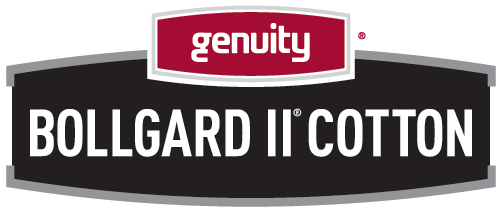 Download Genuity Bollgard Ii Cotton - Genetically Modified Canola ...