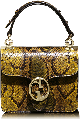 Gucci 1973 Python - Clothing (538x436), Png Download