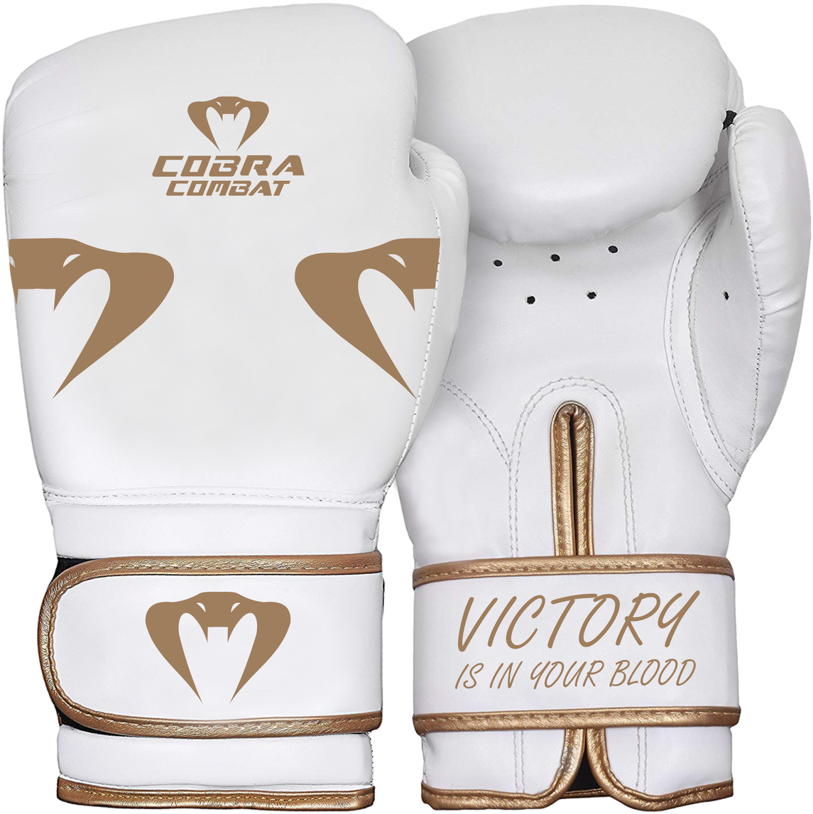 Hawk Boxing Gloves (1280x1257), Png Download