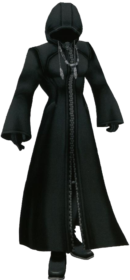 Organization Xiii Cloak - Kingdom Hearts Organization 13 (434x910), Png ...