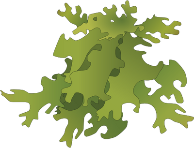 Vector Black And White Stock Protista Kingdom Copy - Clipart Algae Png ...