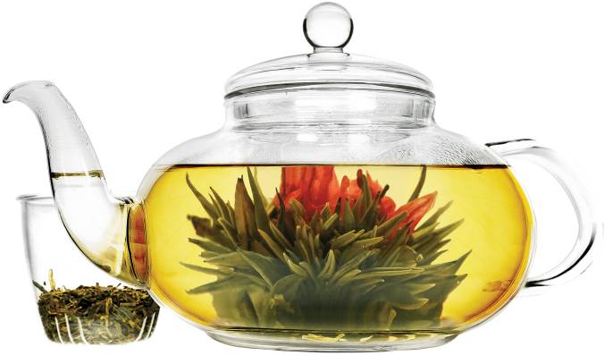 Primula 40-oz. Daisy Glass Tea Pot, Clear (700x700), Png Download