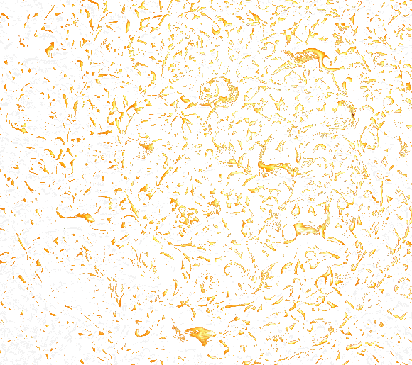 Download Gold Flakes Png - Deviantart | Transparent PNG Download | SeekPNG