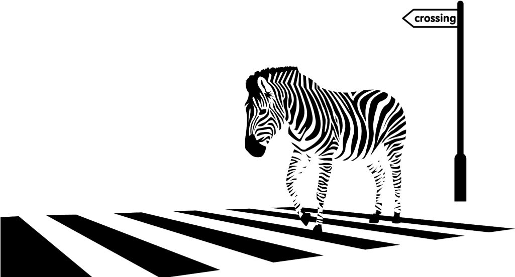 Download Zebra Crossing Png High Quality Image - Zebra Crossing A Zebra ...