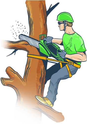 Tree Service Clip Art (367x505), Png Download