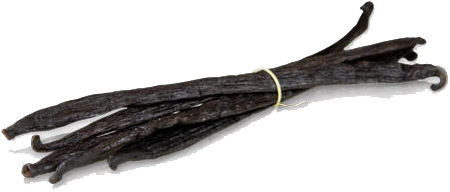 Vanilla Bean Png Hd - Black Vanilla Png (525x400), Png Download