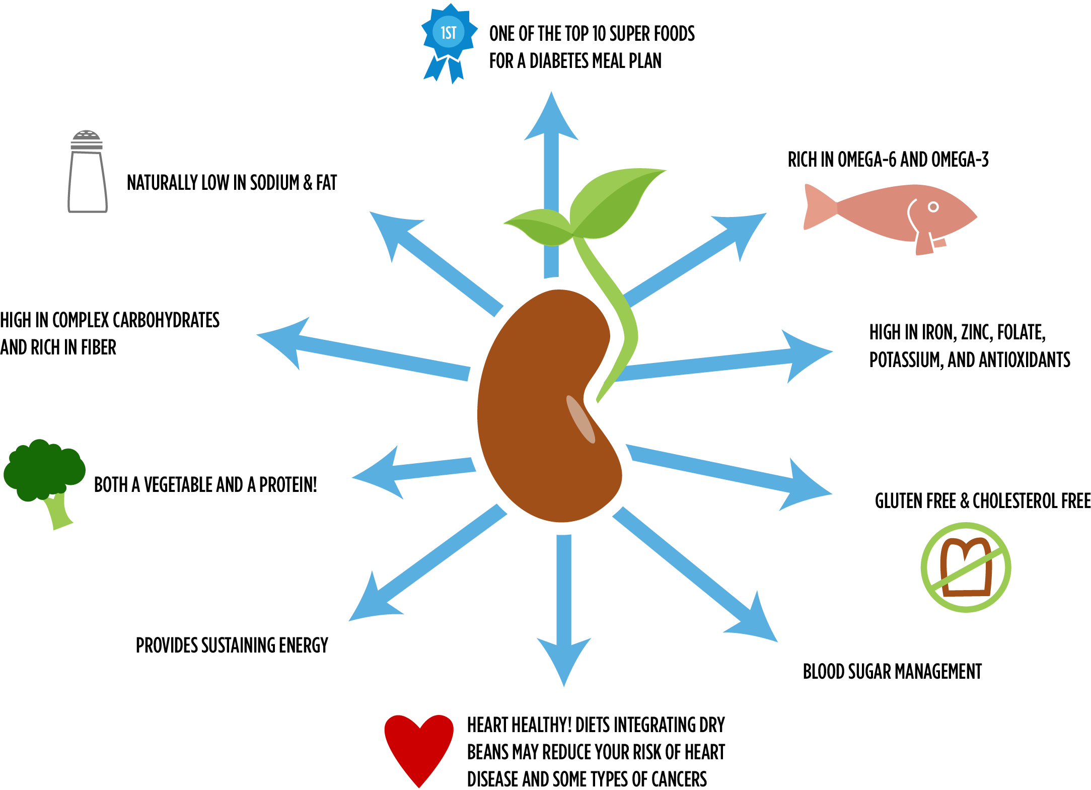 Health Of Beans - Fun Facts About Beans (2167x1569), Png Download