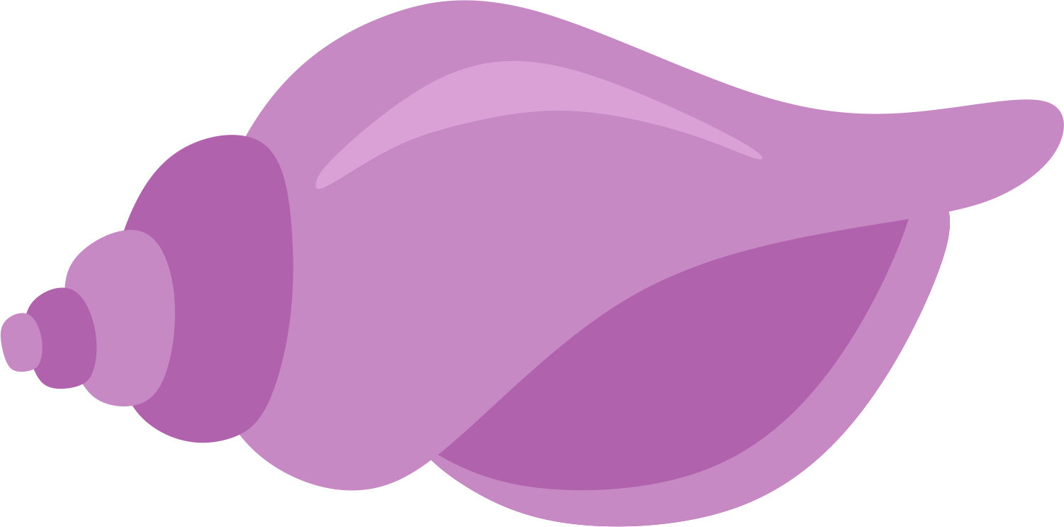 Download Seashell Conch Clip Art - Sea Shell Clipart | Transparent PNG ...