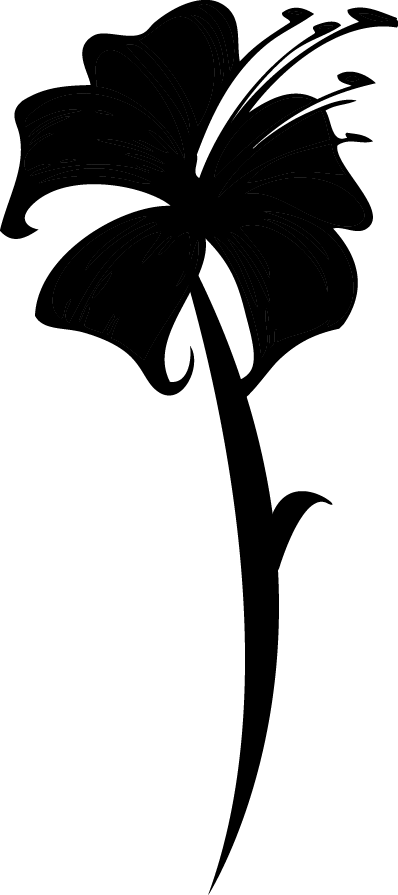 After - Flower (398x895), Png Download