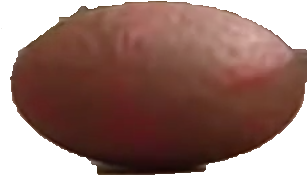 Snuffy's Runaway Meatball - Wiki (490x300), Png Download