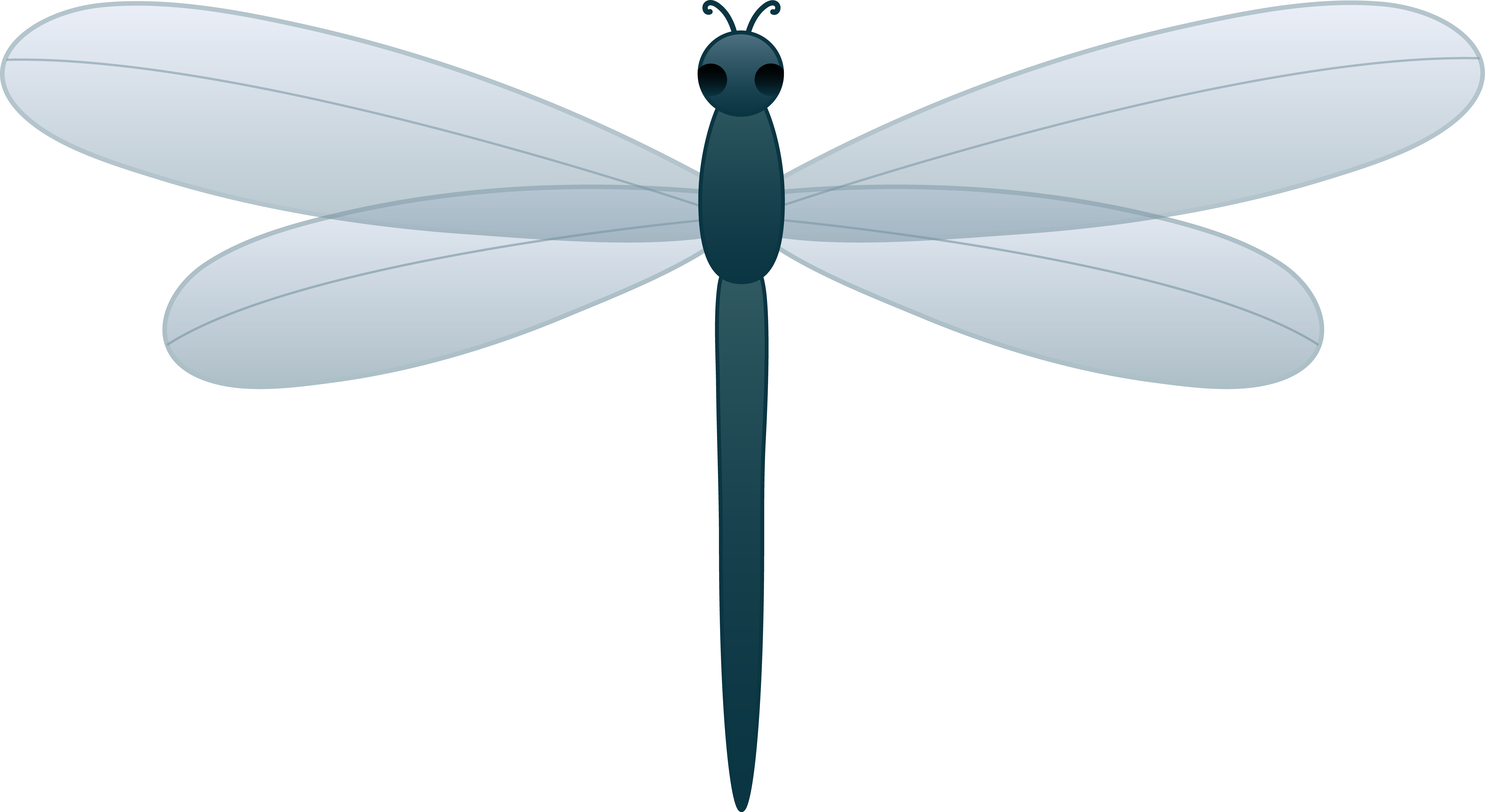 Download Cartoon Dragonfly Clip Art - Cartoon Dragonfly Transparent ...