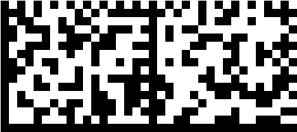 Strange Double Data Matrix - Rectangular Data Matrix Code (450x450 ...