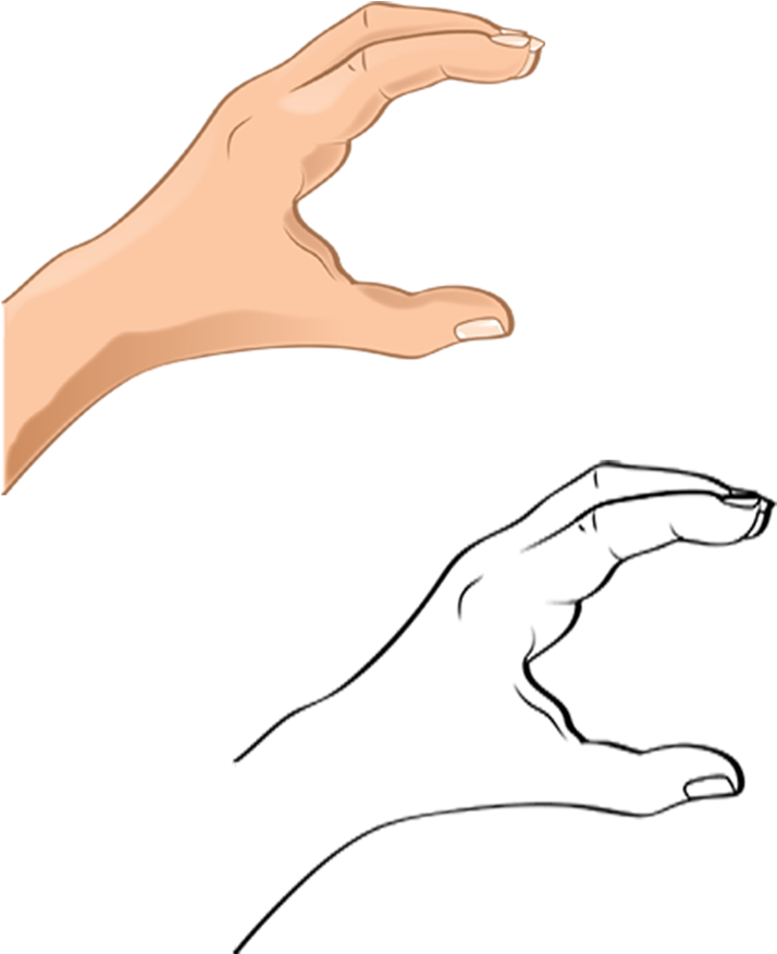 Hand Vector Wrist - C Hands Vector (1000x1000), Png Download