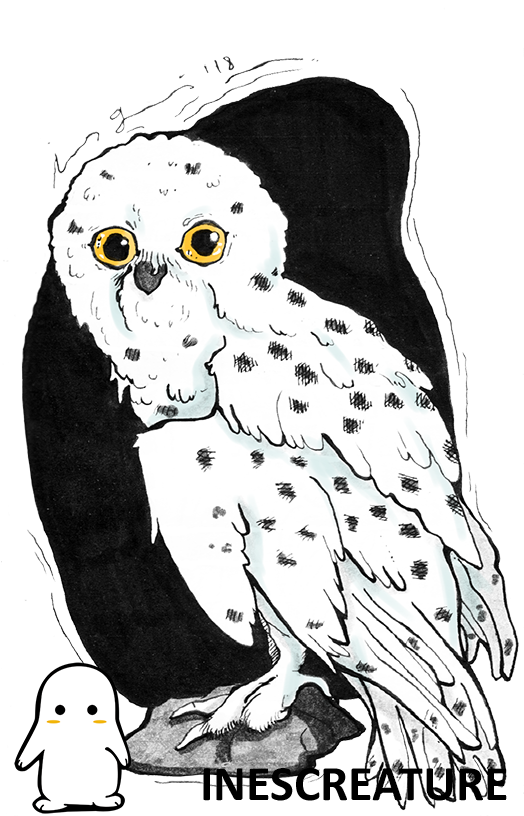 “i Think I'm A Tiny Bit Like Harry 'cos I'd - Cartoon (523x827), Png ...