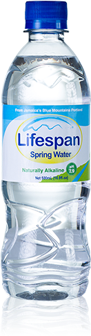 500 Ml - Lifespan Water (400x500), Png Download