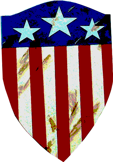 Captain America First Shield (432x550), Png Download